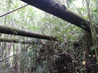 16-356 Kiele St #38, Keaau, HI 96749 - See Est. Value, Schools & More