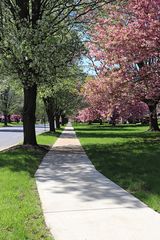 1149 Columbus Ave #1129-05, Lemoyne, PA 17043 - See Est. Value, Schools ...