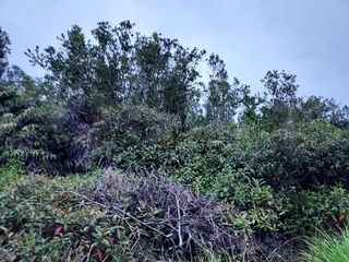 16-1677 Uhini Ana Rd #1-lot 2527, Mountain View, HI 96771 - See Est ...