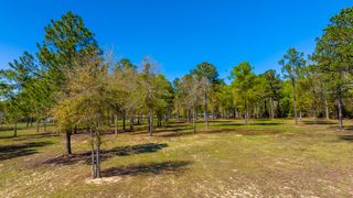 Paxton, FL Homes For Sale & Paxton, FL Real Estate | Trulia