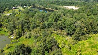 Turners Riverfront Rd, Carrollton, AL 35447 | MLS# 45339 - Trulia | Trulia