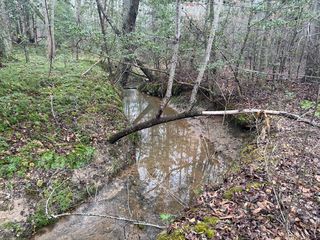 Off Of Family Way Rd #WP001, Macon, NC 27551 | MLS# 96606 - Trulia | Trulia