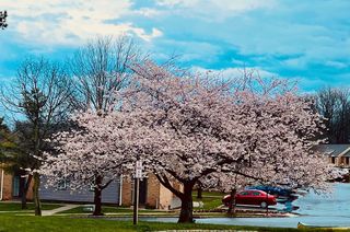 75 Village Way #46-B, Budd Lake, NJ 07828 - See Est. Value, Schools & More