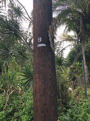 Uilani Dr #50, Pahoa, HI 96778 - See Est. Value, Schools & More