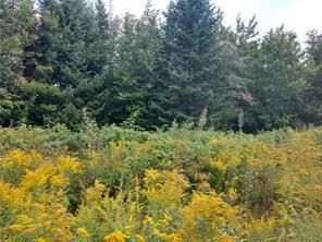 off Springy Pond Road, Eddington, ME 04428 | MLS# 1647030 | Trulia