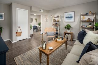 Waterview at Rocky Point Apartments - Tampa, FL | Trulia