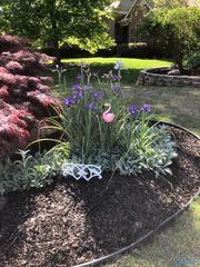 110 Holbrook Dr, Huntsville, AL 35806 | MLS# 21850098 | Trulia