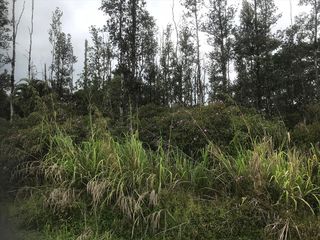 Tree Fern Dr #54, Pahoa, HI 96778 - See Est. Value, Schools & More