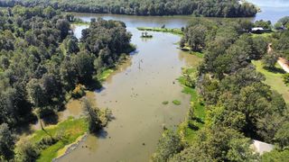 Turners Riverfront Rd, Carrollton, AL 35447 | MLS# 45339 - Trulia | Trulia