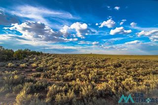 20 Jones Ranch Rd, Vanderwagen, NM 87326 | MLS# 20230419 | Trulia