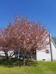 6840 Lakeway Dr, Huntingdon, PA 16652 - See Est. Value, Schools & More