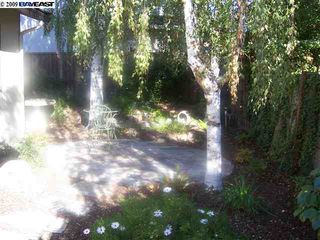 San Moreno Ct, Fremont, CA 94539 - See Est. Value, Schools & More