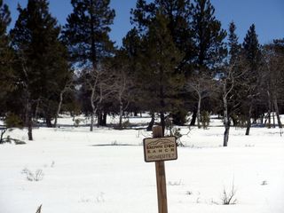 Parcel 7 Sage Grouse S #7, Placerville, CO 81430 - See Est. Value ...