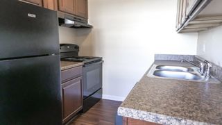 Apartments For Rent in Hampton, VA - 109 Rentals | Trulia