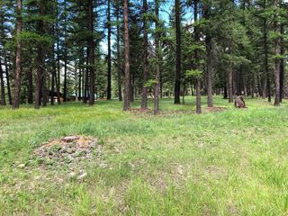 Nhn Crystal Lakes Dr, Fortine, MT 59918 | Trulia