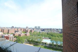 420 E 111th St #1903, New York, NY 10029 - See Est. Value, Schools & More