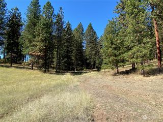 0 XX Cougar Creek Road, Anatone, WA 99401 | MLS# 2162593 | Trulia