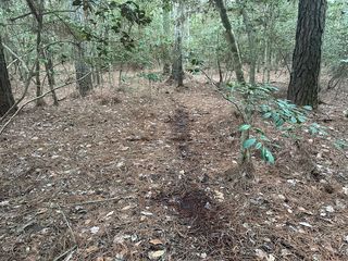 Muddy Hole Rd #WP001, Tyaskin, MD 21865 | MLS# 95565 - Trulia | Trulia