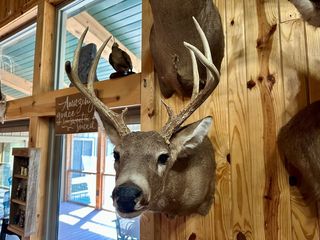 Frond Hill Rd #WP001, Stonefort, IL 62987 | MLS# 95167 - Trulia | Trulia