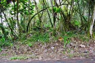 Oopu St #1561, Pahoa, HI 96778 - See Est. Value, Schools & More