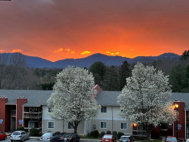 130 N Ridge Dr #106-D, Asheville, NC 28804 - See Est. Value, Schools & More