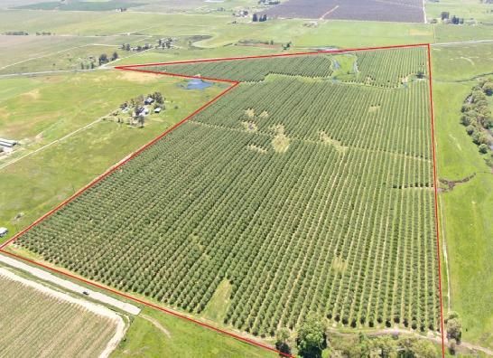 Herald, CA Homes For Sale & Real Estate - 161 Homes | Trulia