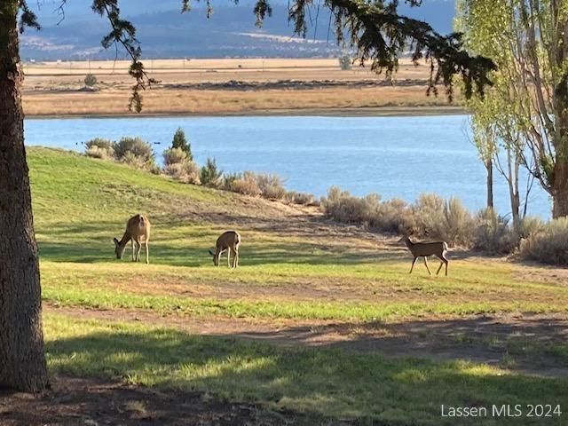 Alturas, CA Homes For Sale & Alturas, CA Real Estate | Trulia