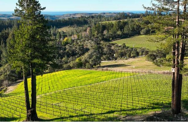 Occidental, CA Homes For Sale & Real Estate