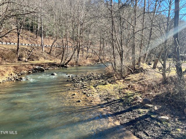 Butler, TN Homes For Sale & Butler, TN Real Estate | Trulia