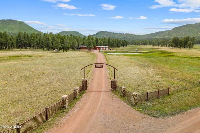 Alpine, AZ Homes For Sale & Alpine, AZ Real Estate | Trulia