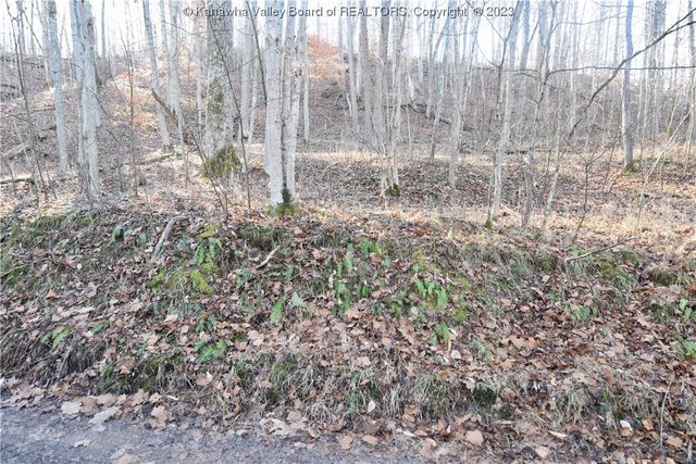 Leon, WV Homes For Sale & Leon, WV Real Estate | Trulia