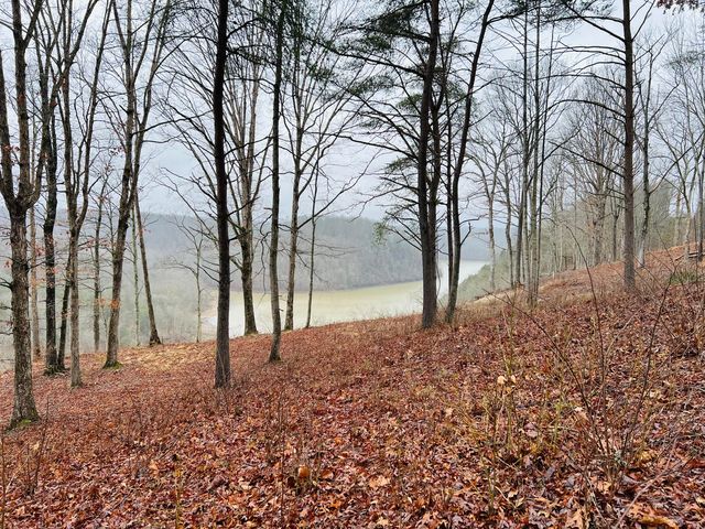 Albany, KY Homes For Sale & Albany, KY Real Estate | Trulia