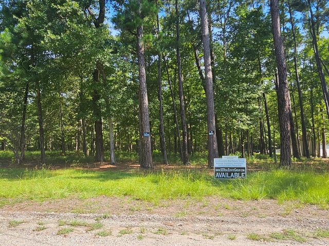 Summerton, SC Homes For Sale & Summerton, SC Real Estate | Trulia