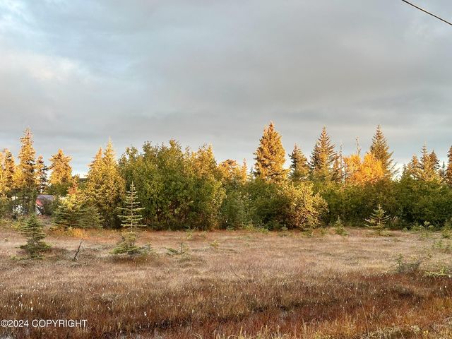 Anchor Point, AK Homes For Sale & Real Estate