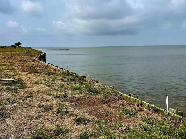 Palacios, TX Homes For Sale & Palacios, TX Real Estate | Trulia