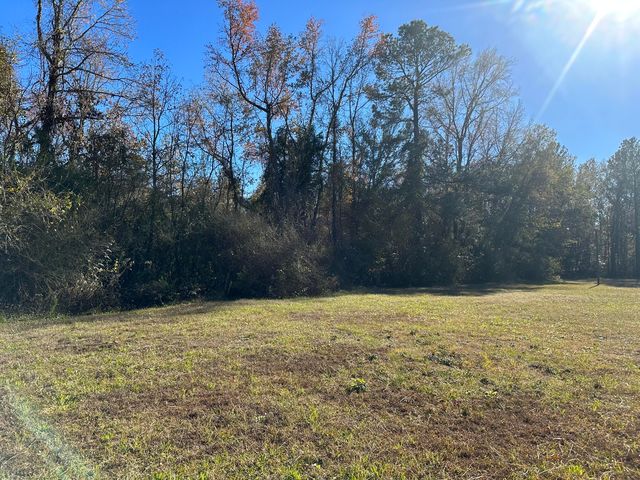 Ruffin, SC Homes For Sale & Ruffin, SC Real Estate | Trulia