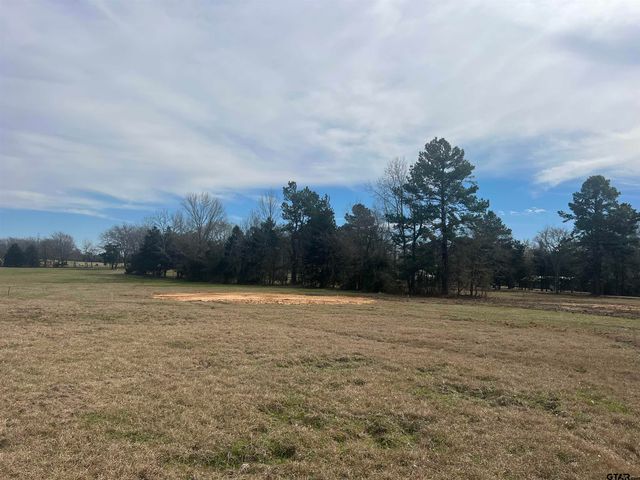 Winona, TX Homes For Sale & Winona, TX Real Estate | Trulia