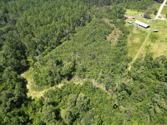 Wiggins, MS Homes For Sale & Wiggins, MS Real Estate | Trulia