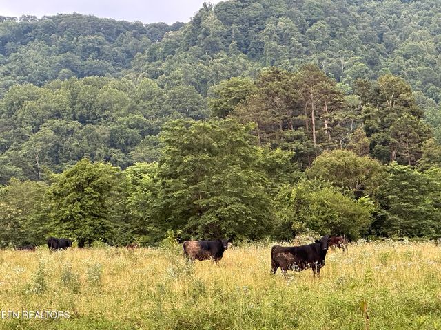 Dryden, VA Homes For Sale & Real Estate - 56 Homes | Trulia