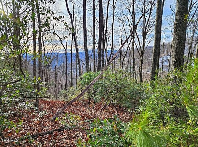 Butler, TN Homes For Sale & Butler, TN Real Estate | Trulia