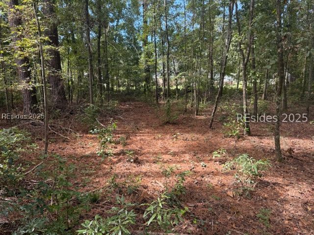 Ridgeland, SC Homes For Sale & Real Estate - 219 Homes | Trulia