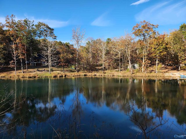 Mentone, AL Homes For Sale & Real Estate