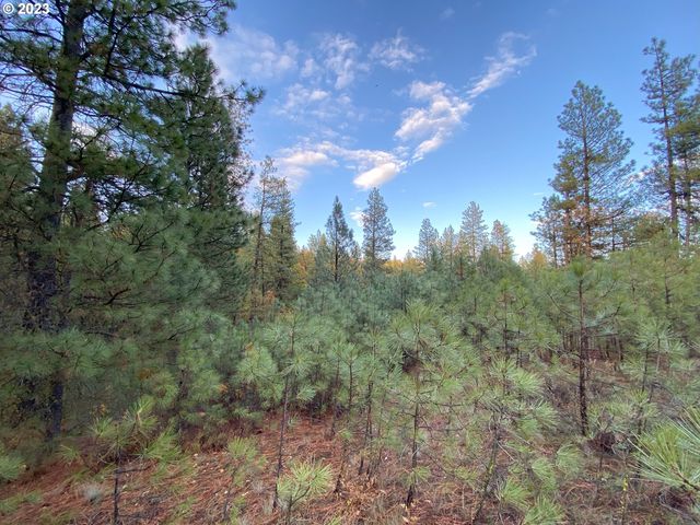 Goldendale, WA Homes For Sale & Real Estate