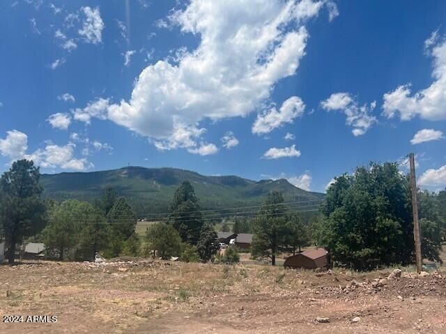 Alpine, AZ Homes For Sale & Alpine, AZ Real Estate | Trulia