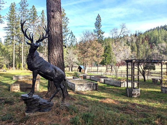 Oak Run, CA Homes For Sale & Oak Run, CA Real Estate | Trulia