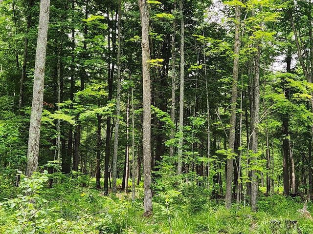 Merrill, WI Homes For Sale & Merrill, WI Real Estate | Trulia