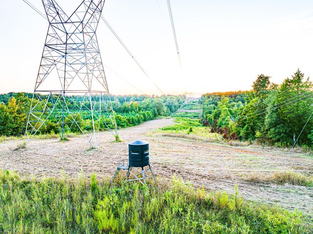 Aberdeen, MS Homes For Sale & Real Estate - 70 Homes | Trulia