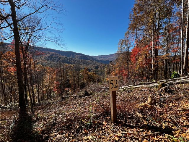 Butler, TN Homes For Sale & Butler, TN Real Estate | Trulia | Page 2