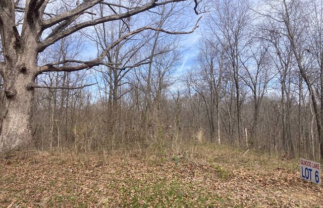 Flora, IL Homes For Sale & Real Estate