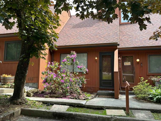 Davis, WV Homes For Sale & Real Estate